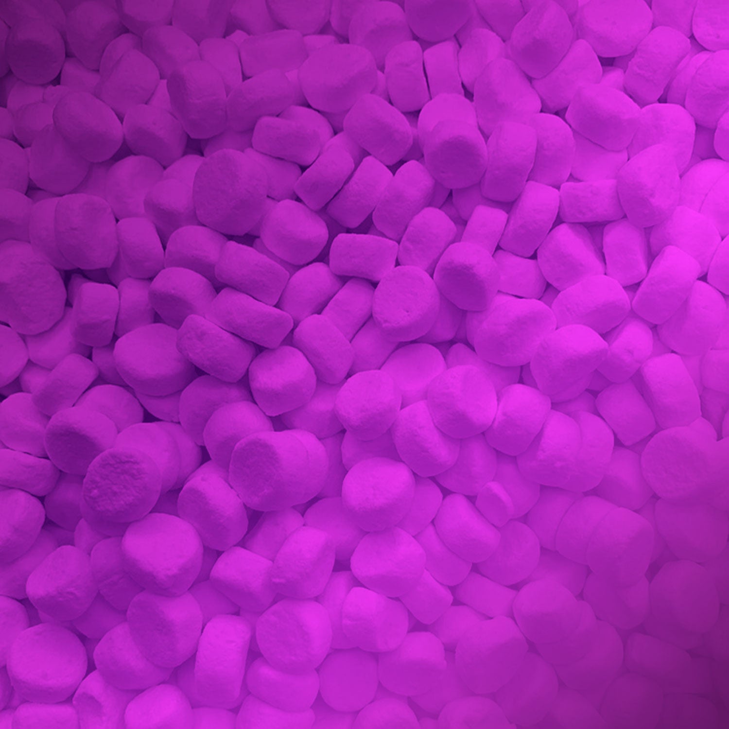 Dehydrated Marshmallows – UpTop Treats