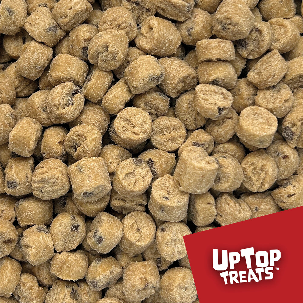 Freeze Dried Cookie Dough Bites - Peanut Butter Chocolate Chip | UpTop ...